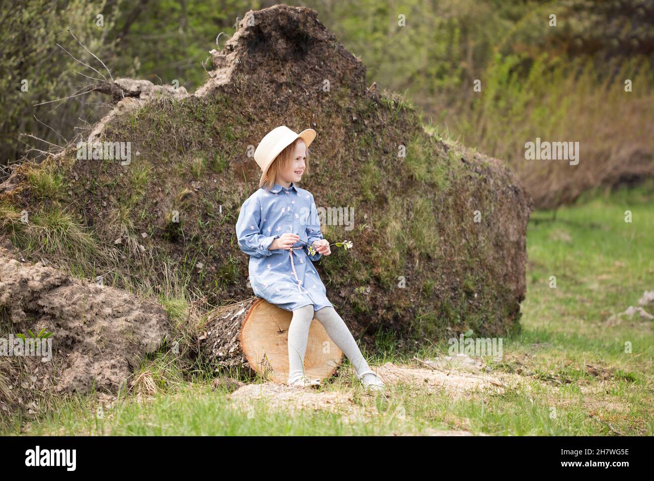 Cute little caucasian girl of 5 years old sits on a sawn log in the ...