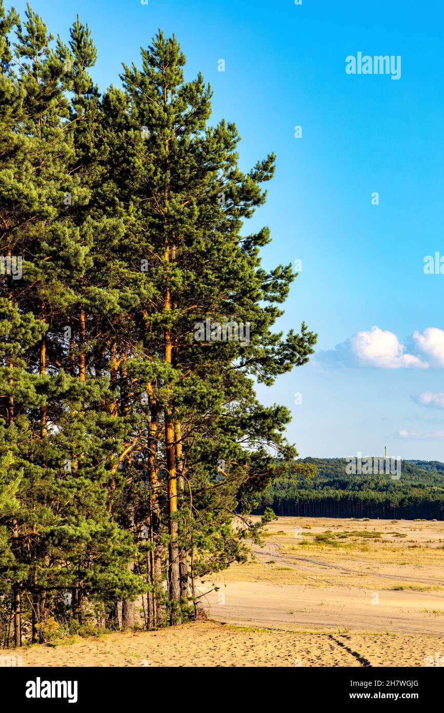 Panoramic view of Bledowska Desert sand plateau dusty landscape with ...