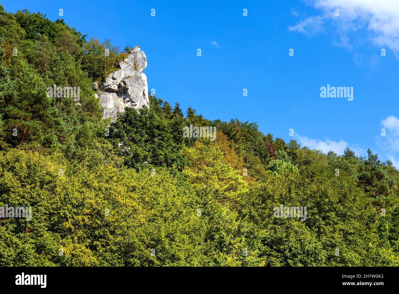 Panoramic view of Pradnik creek valley with jurassic limestone mountain ...