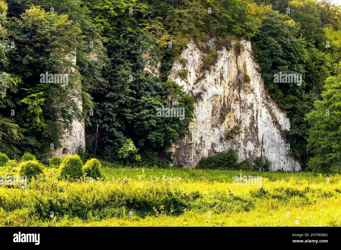 Panoramic view of Pradnik creek valley with jurassic limestone mountain ...