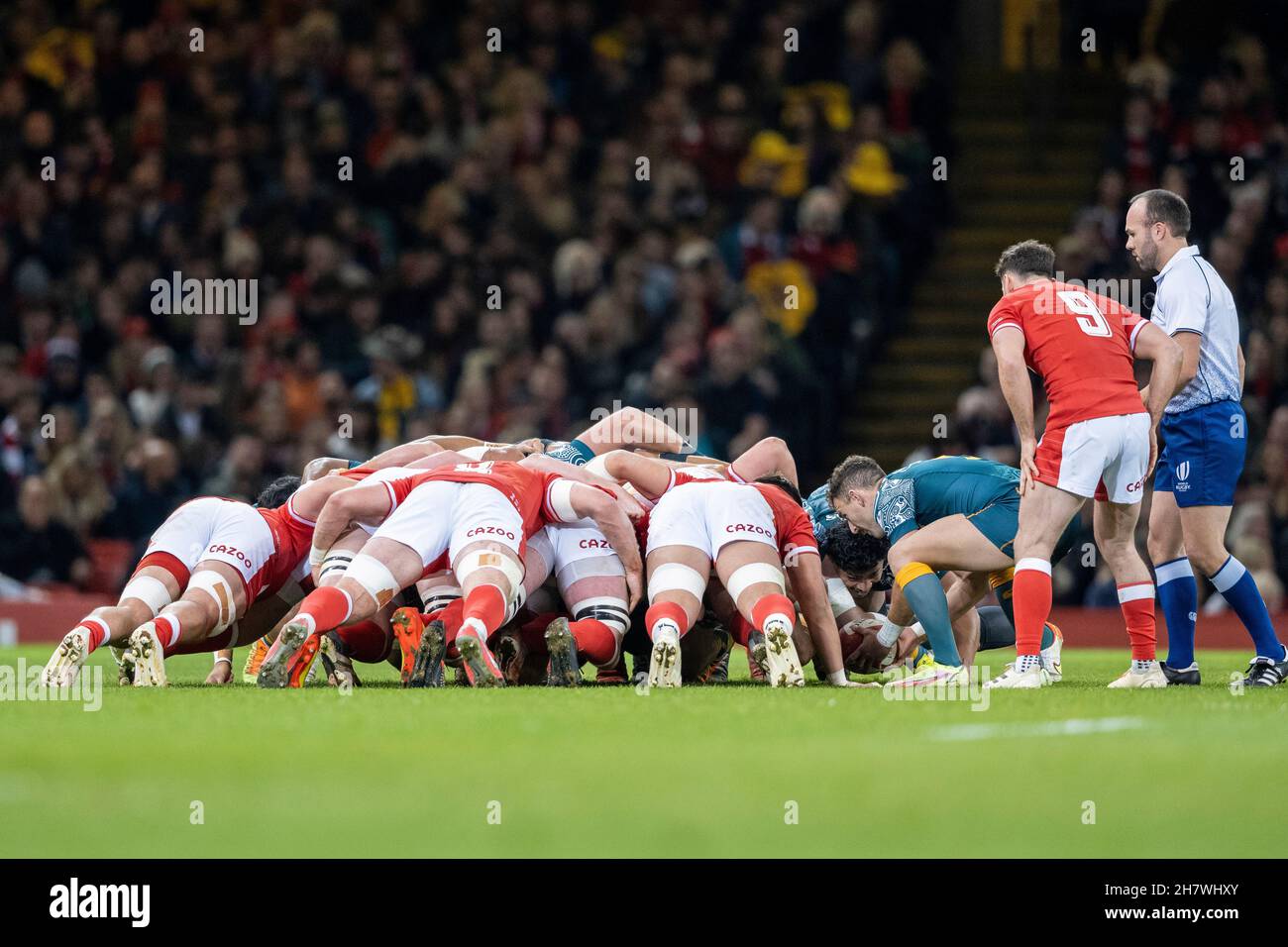 Wallabies' scrum half, Nic White feeds the ball into a Wallabies' scrum ...