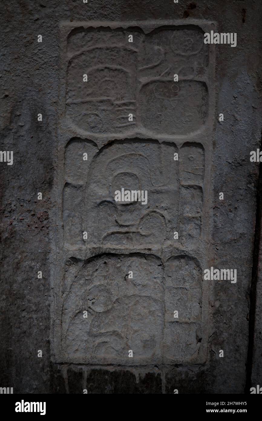 ancient mayan bas relief carvings and sculpture located on The palace ...