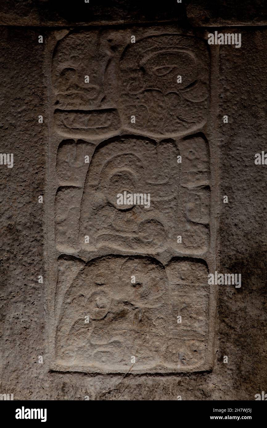 ancient mayan bas relief carvings and sculpture located on The palace ...