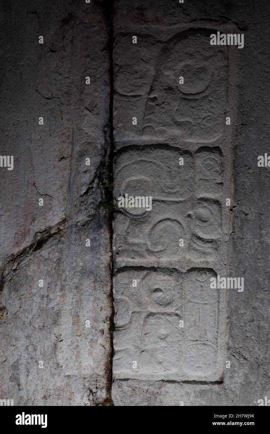ancient mayan bas relief carvings and sculpture located on The palace ...