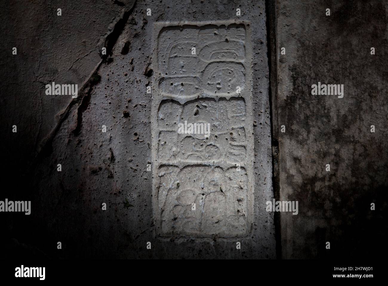 ancient mayan bas relief carvings and sculpture located on The palace ...