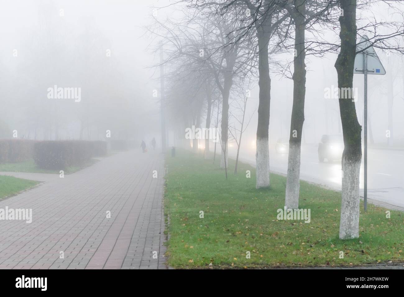 Urban life foggy dawn hi-res stock photography and images - Alamy