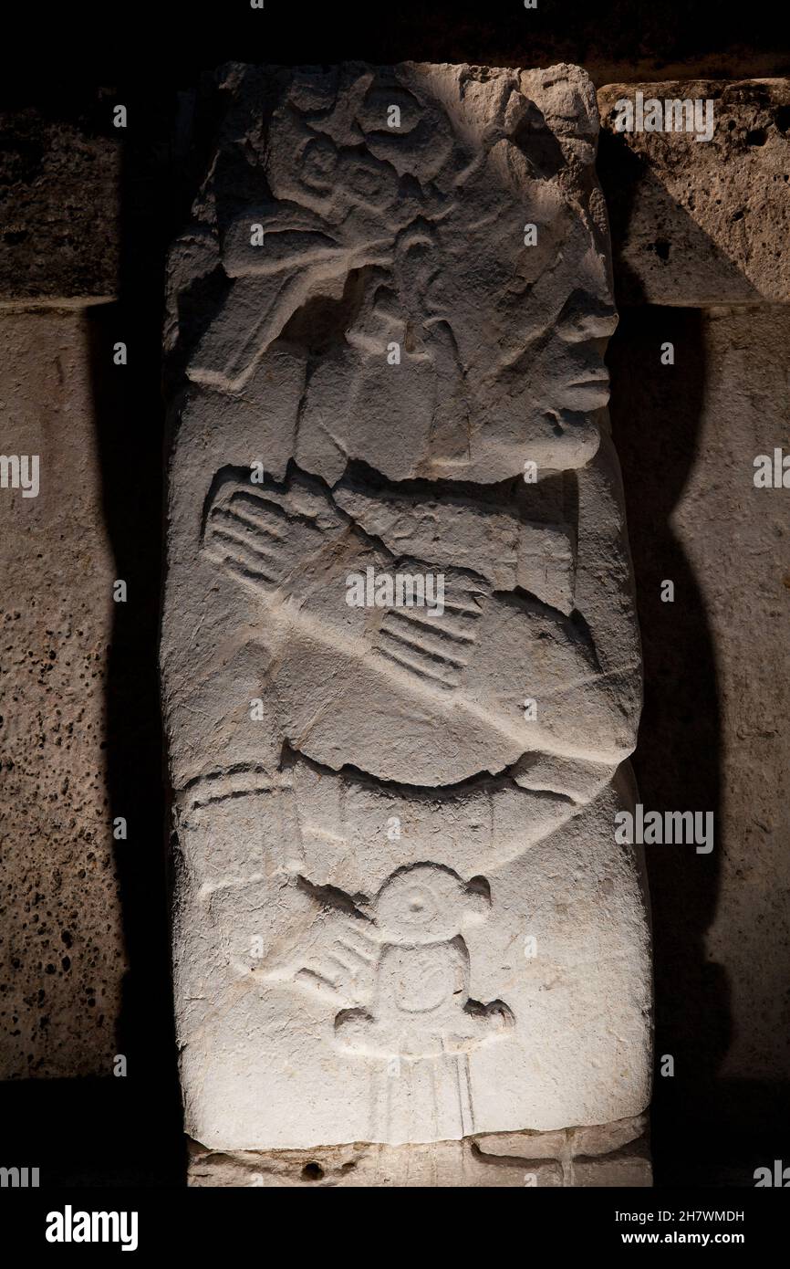 ancient mayan bas relief carvingsof a rabbit skull on a temple at the ...