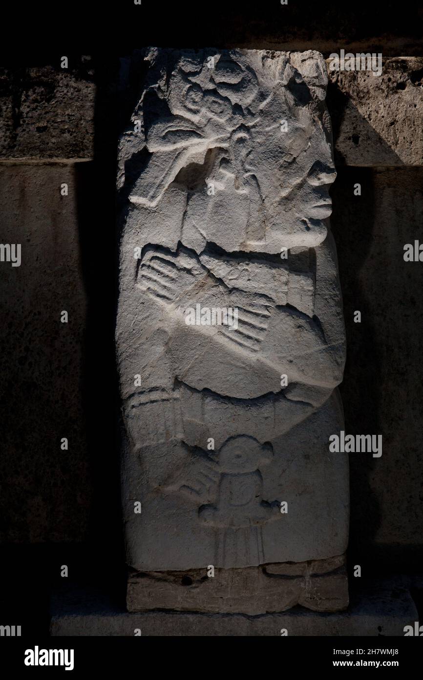 ancient mayan bas relief carvingsof a rabbit skull on a temple at the ...