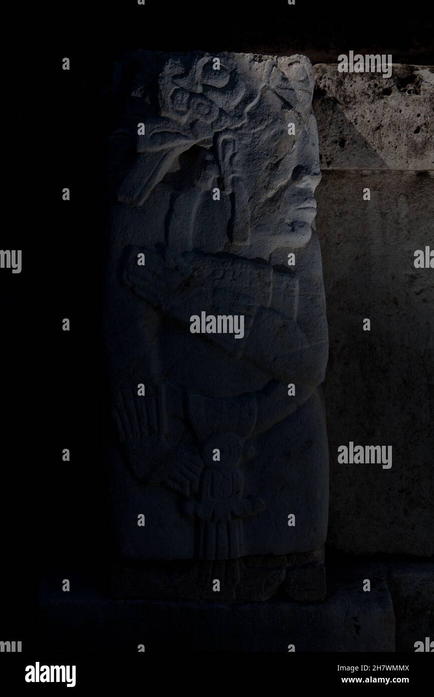 ancient mayan bas relief carvingsof a rabbit skull on a temple at the ...