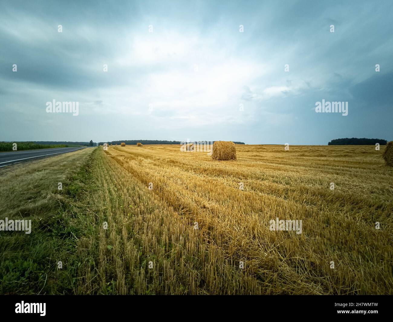 A field with harvested wheat near the expressway. The concept of ...