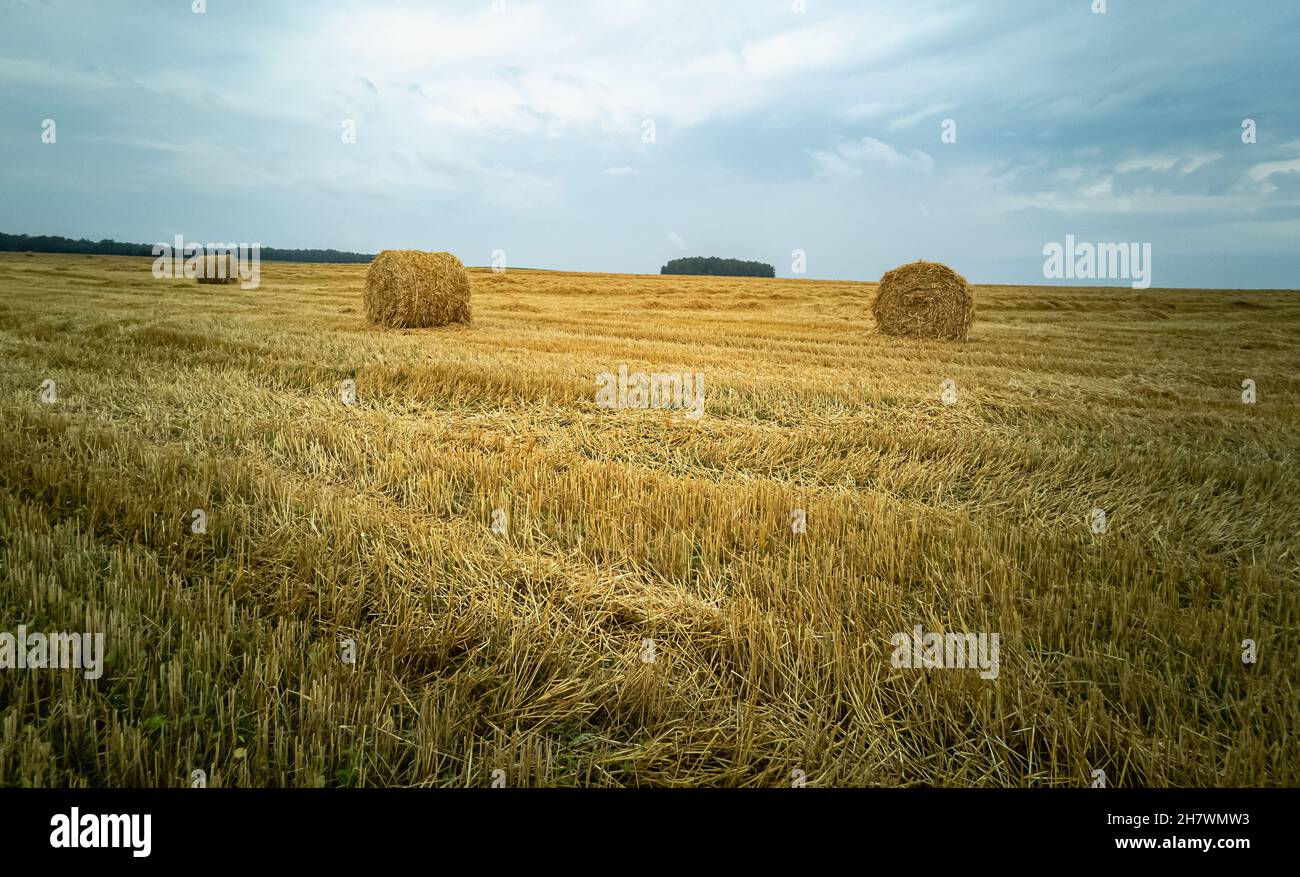 Natural background and beautiful natural landscape.A field with ...