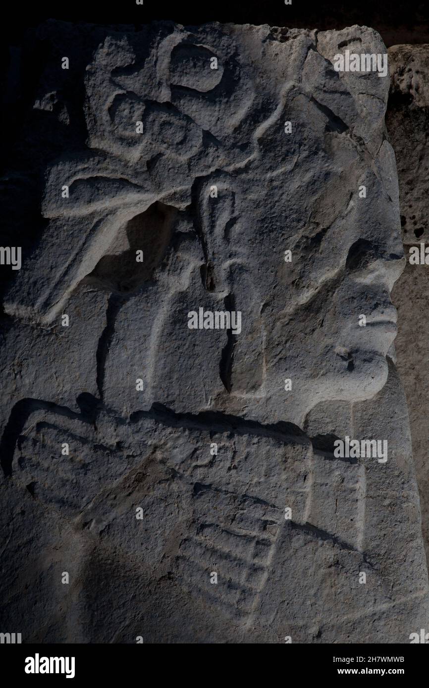 ancient mayan bas relief carvingsof a rabbit skull on a temple at the ...