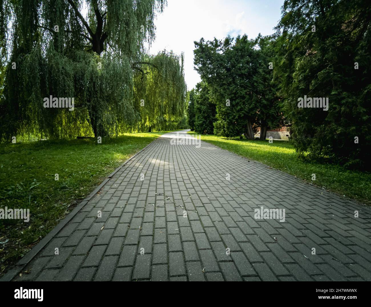A tile road through a beautiful park with large trees and lush green ...