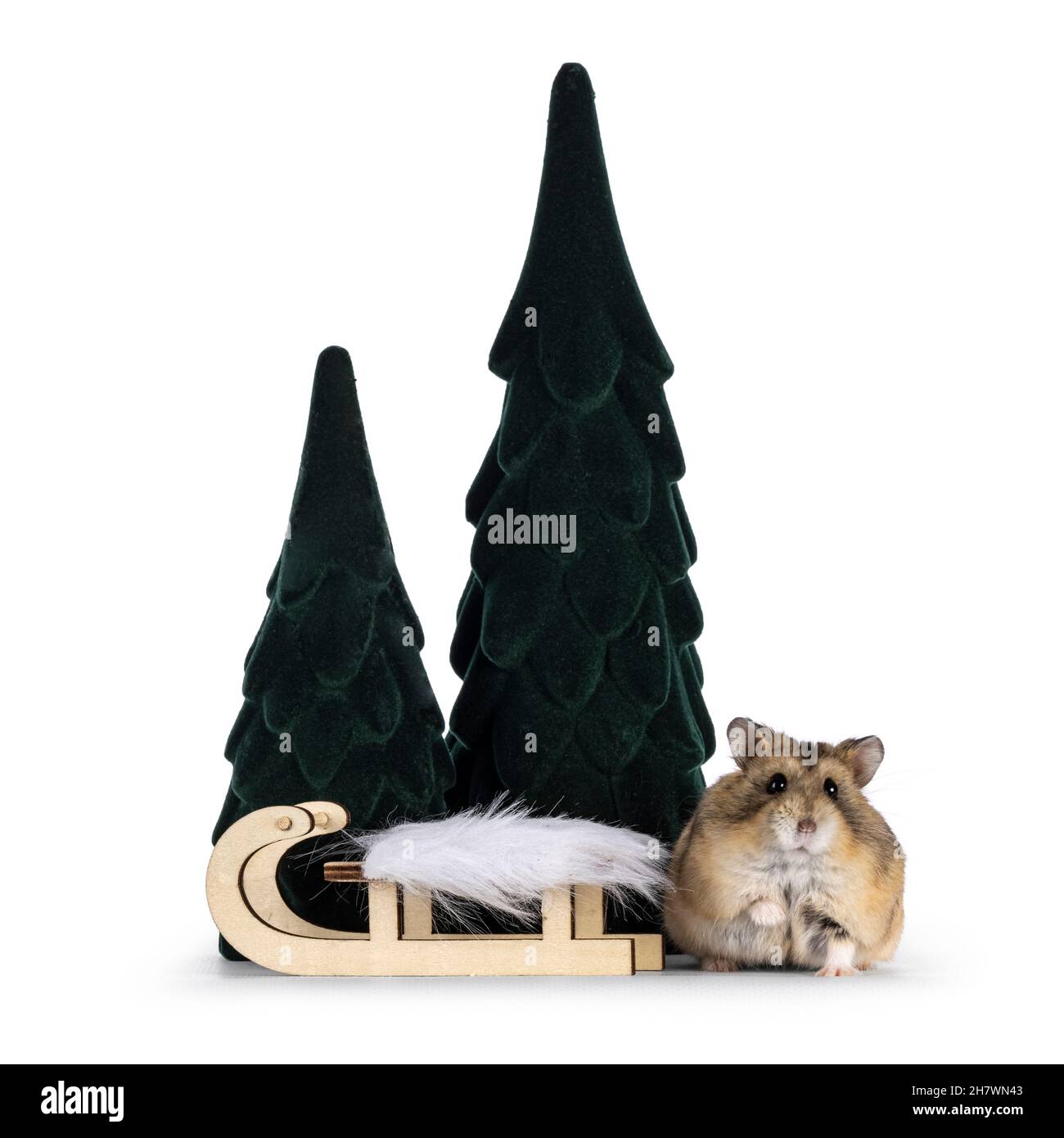 Brown adult hamster standing beside fake tree decoration behind tiny ...