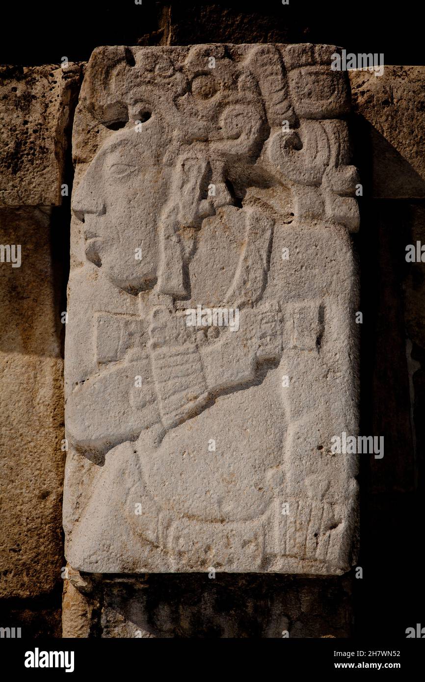 ancient mayan bas relief carvingsof a rabbit skull on a temple at the ...