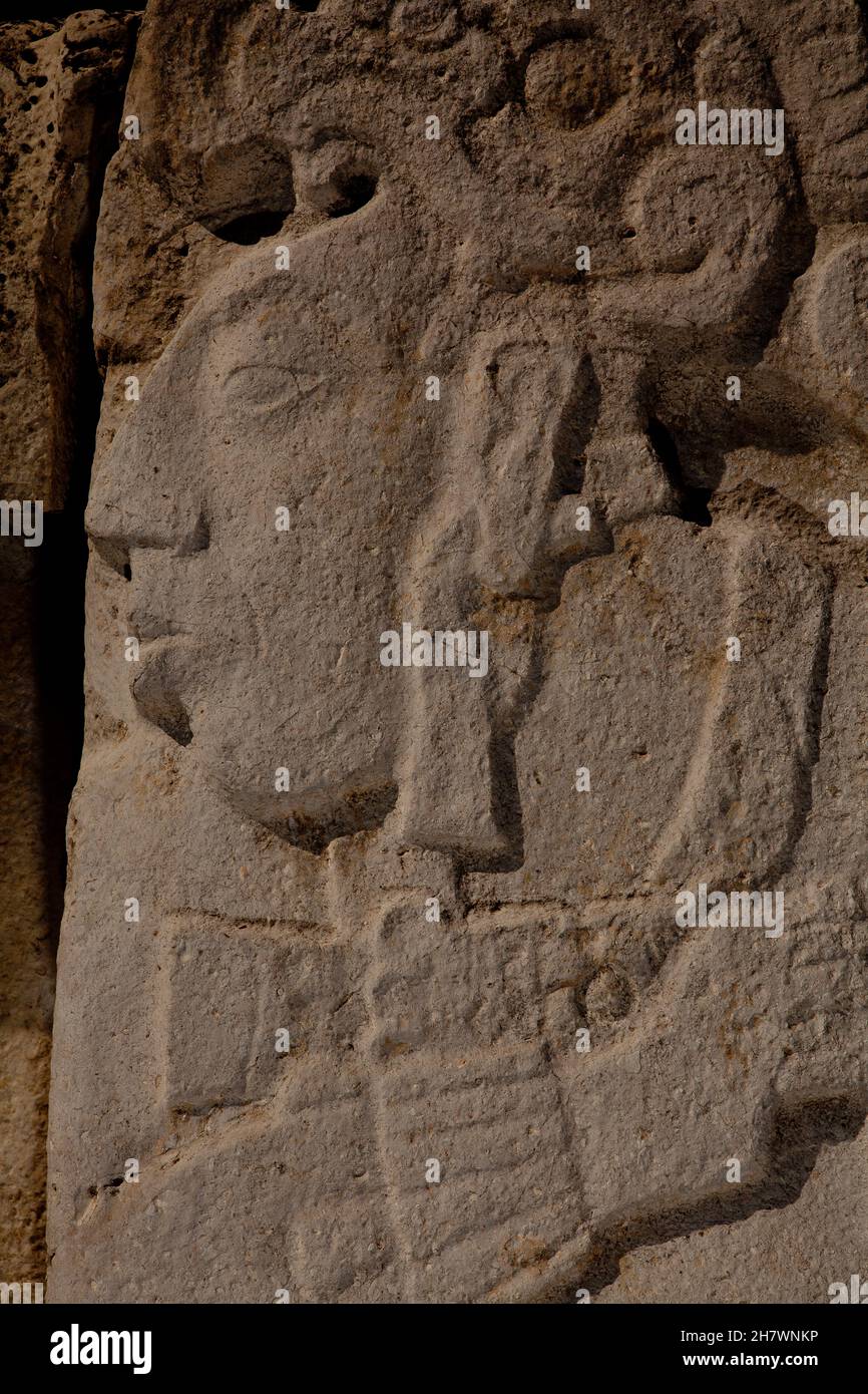 ancient mayan bas relief carvingsof a rabbit skull on a temple at the ...