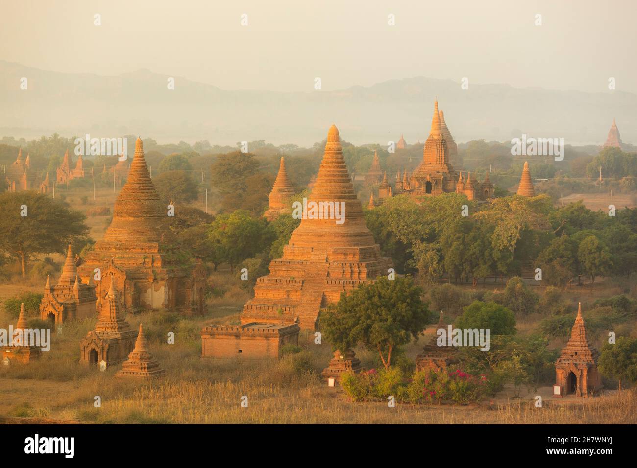 Morning Light over temples of Bagan Stock Photo - Alamy