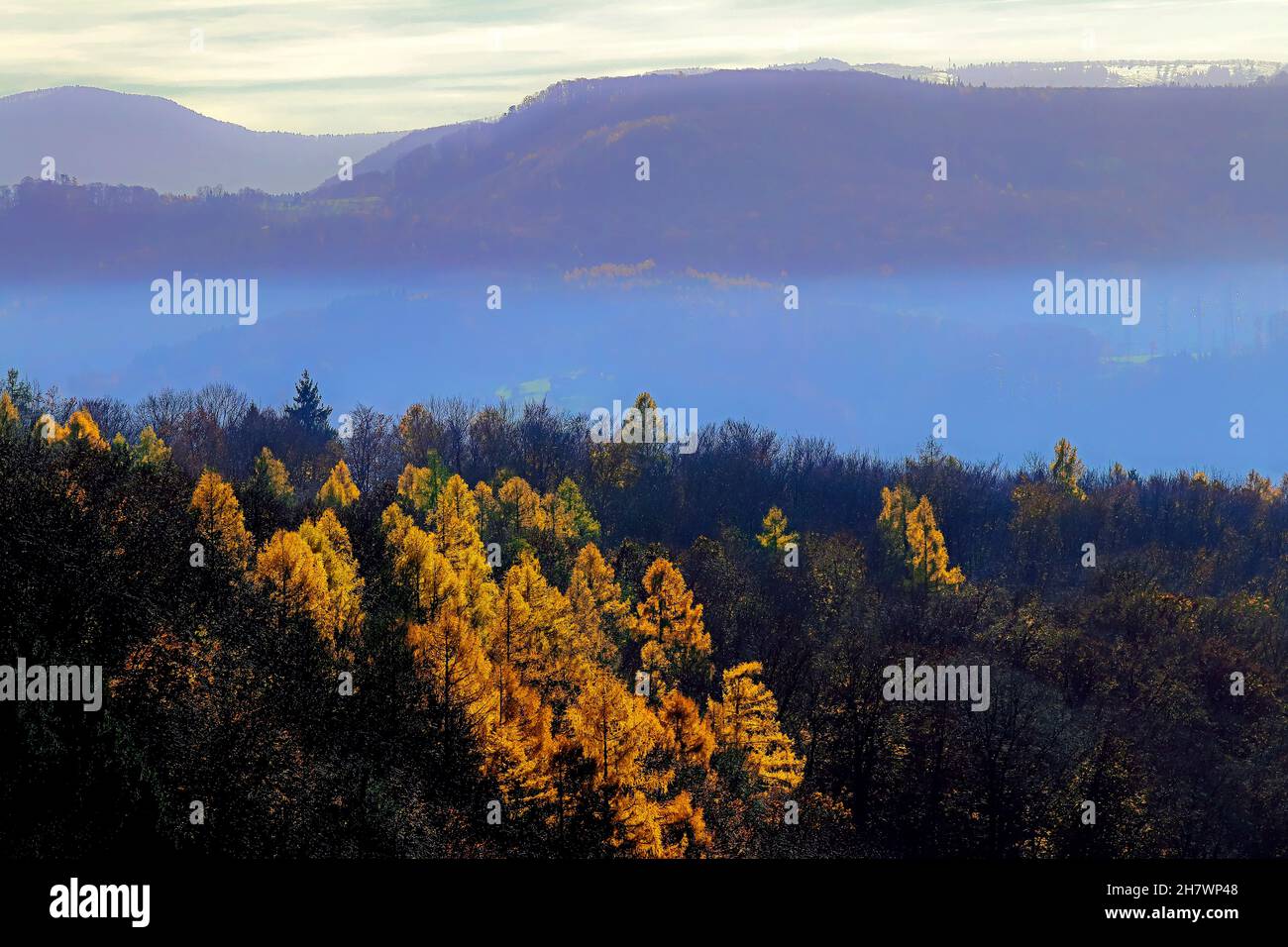 Beautiful Fall Colors of Black Forest, Switzerland Stock Photo - Alamy