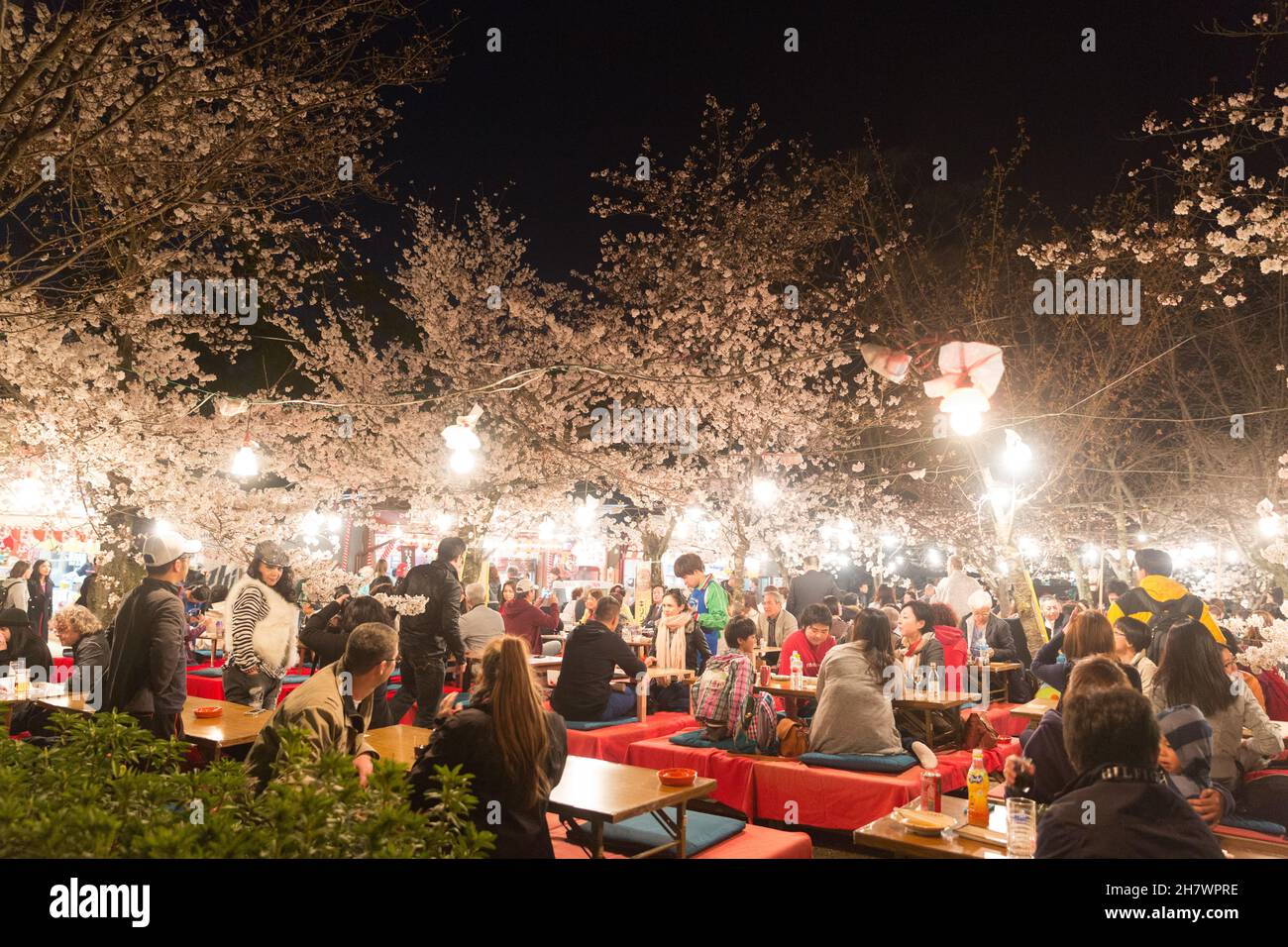 Hanami kyoto hi-res stock photography and images - Alamy