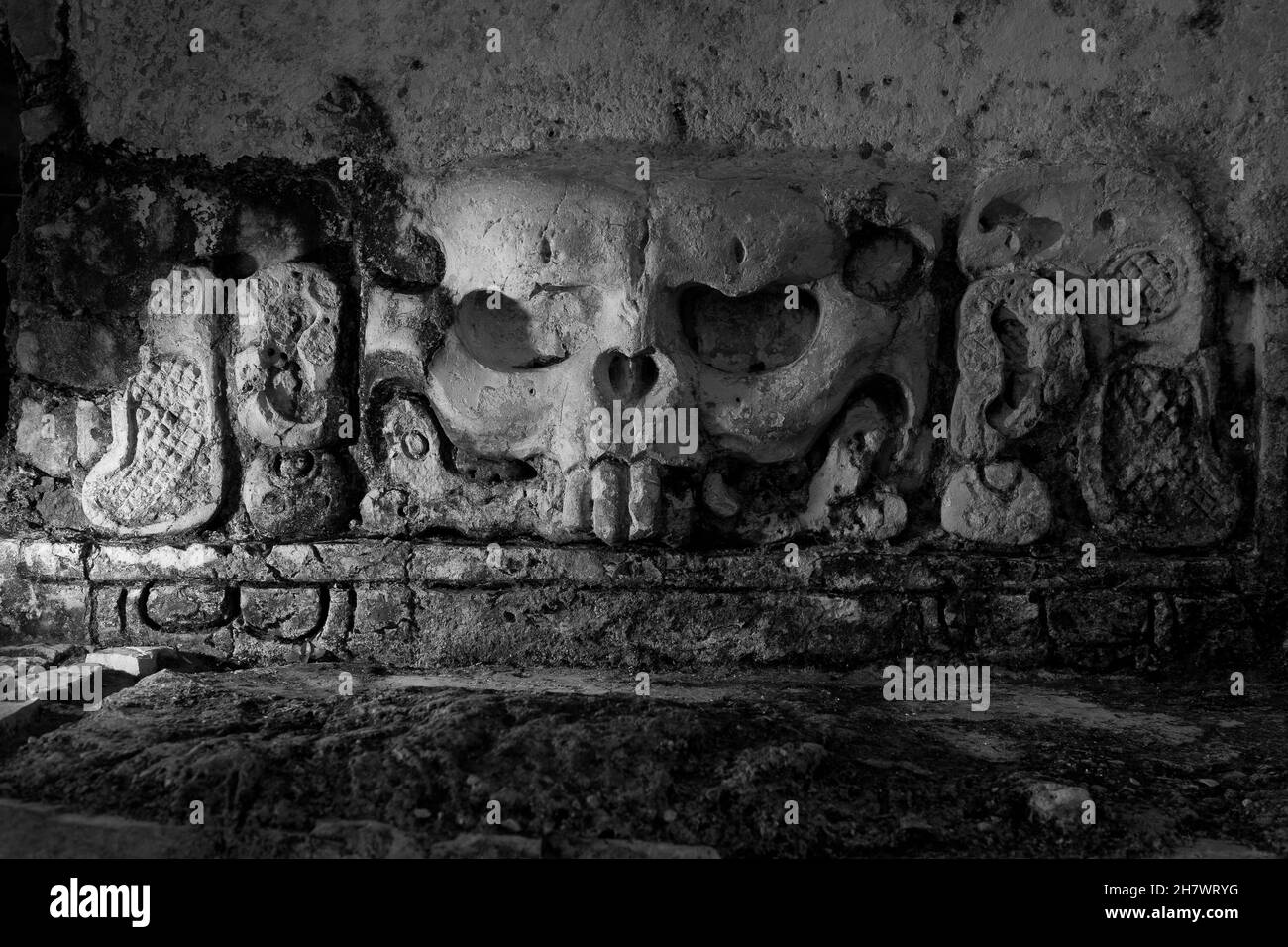 ancient mayan bas relief carvingsof a rabbit skull on a temple at the ...