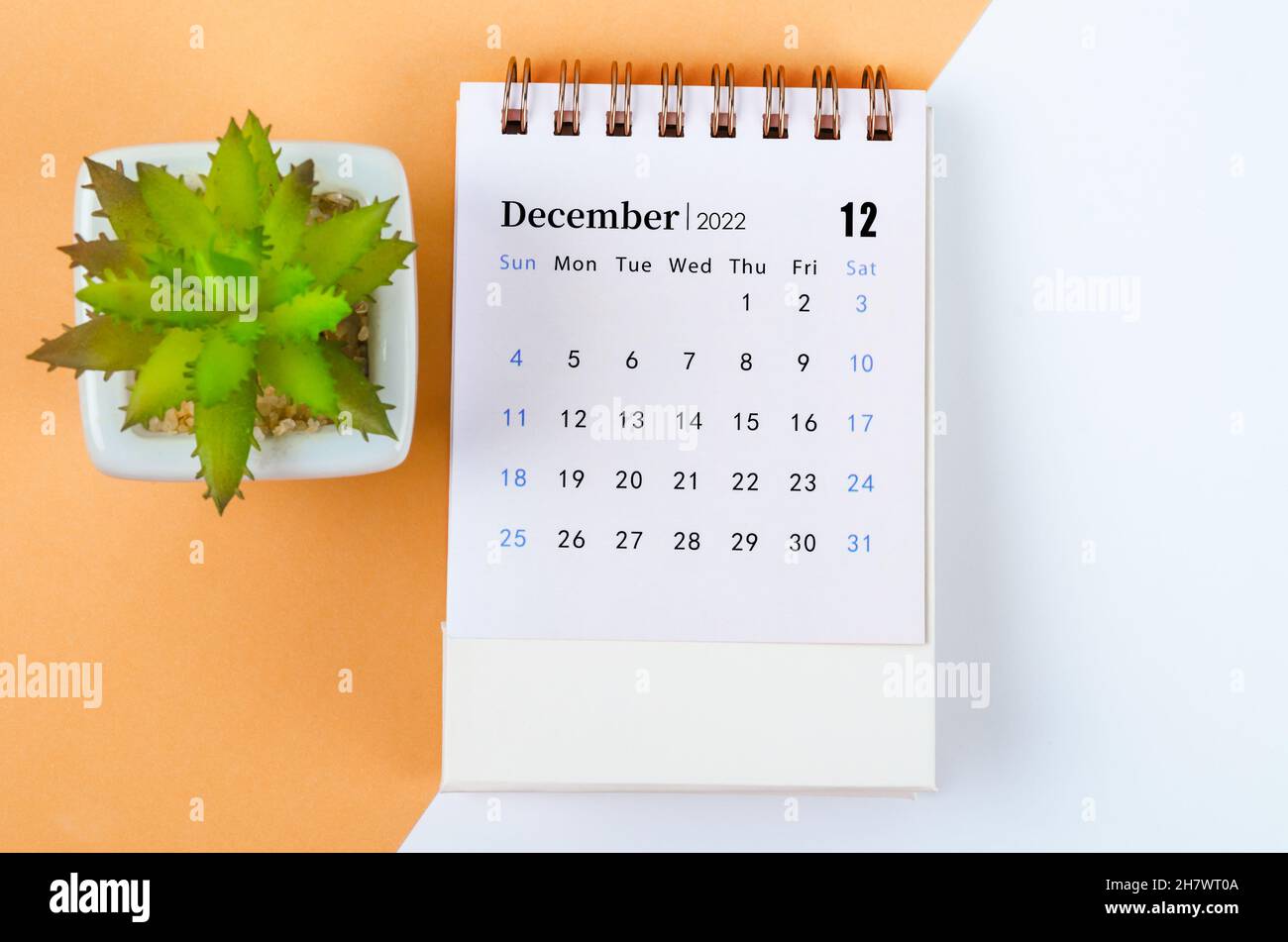 The December 2022 desk calendar with tree pot Stock Photo - Alamy