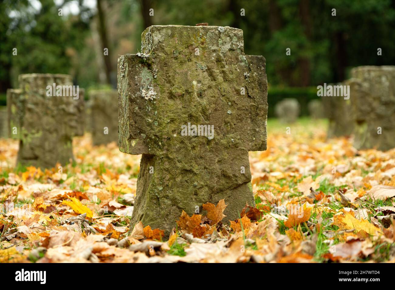 German soldier soldiers gravestones hi-res stock photography and images ...