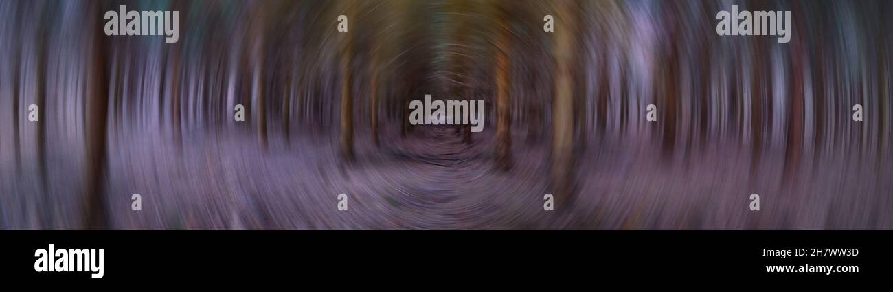 Web header template with mysterious fairy fall blurred bokeh forest ...