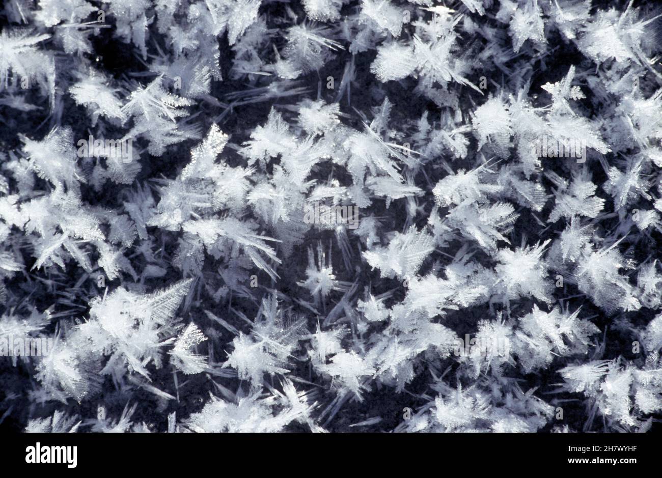 Thin layer of snow on ground hi-res stock photography and images - Alamy