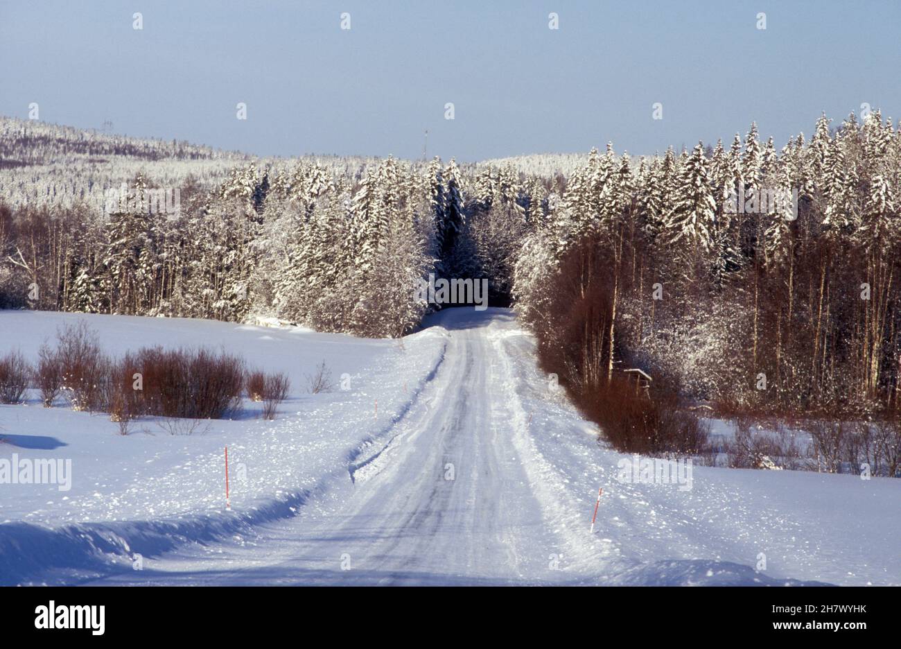 Rural area, Sweden in 2005, analog. Country road in the woodland during ...