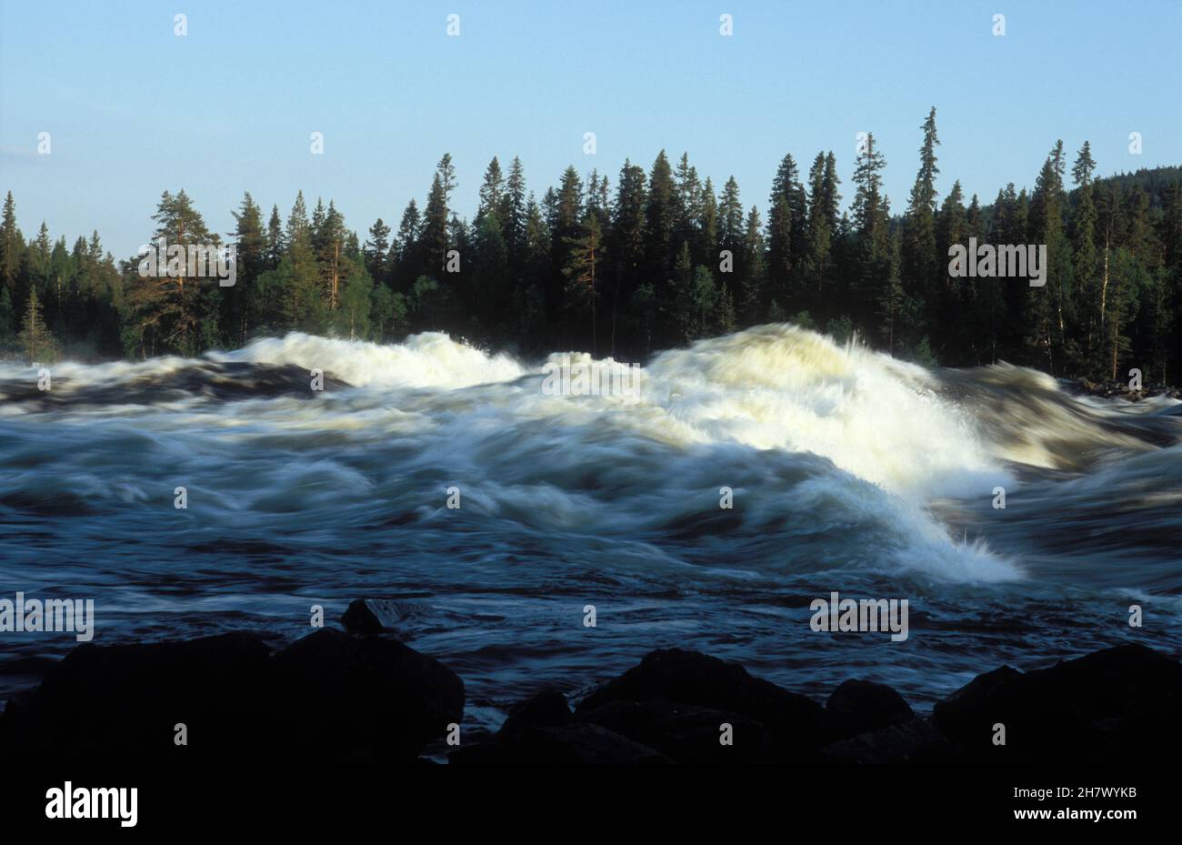 Wild river rapids in the country in 2005, analog. Fast, strong and ...