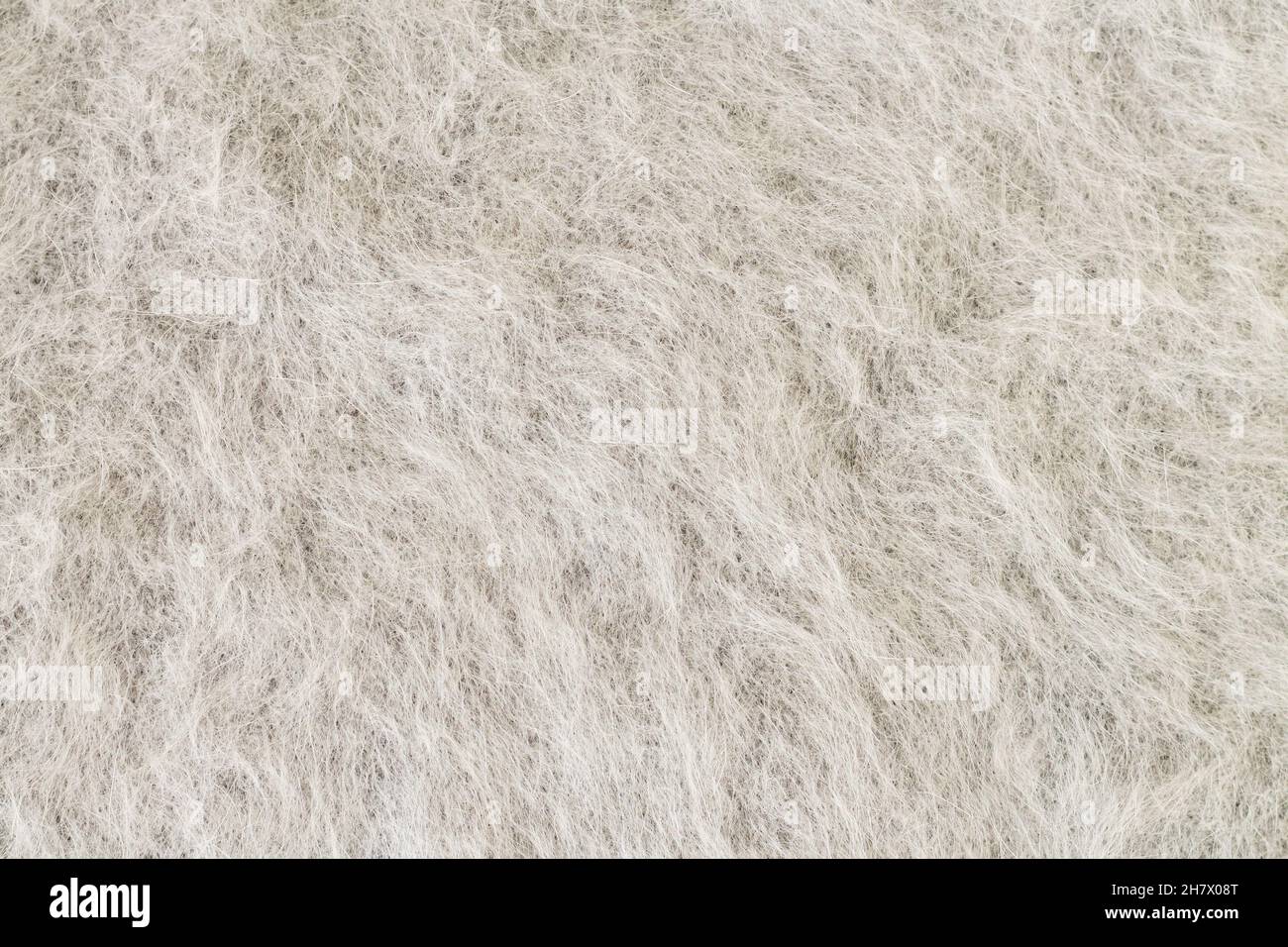 Angora sweater hi-res stock photography and images - Alamy