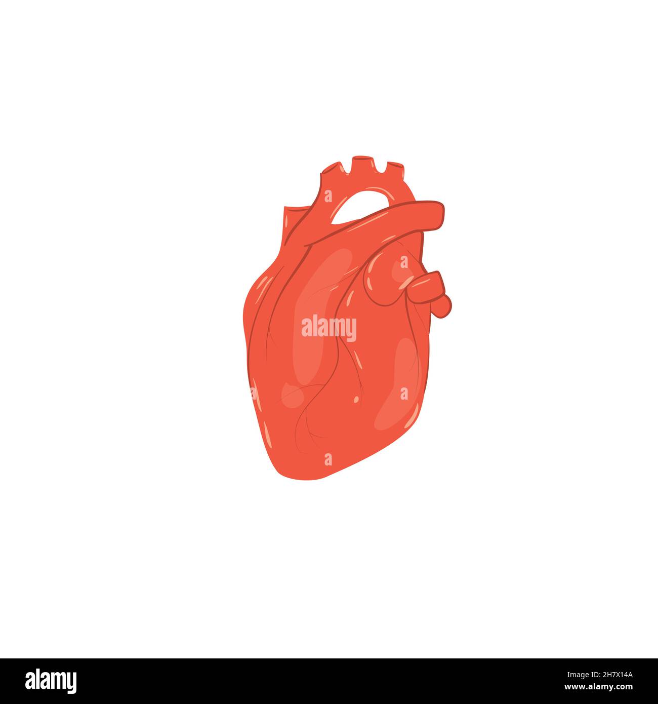 Flat cartoon person heart,medical treatment and therapy,human anatomy ...