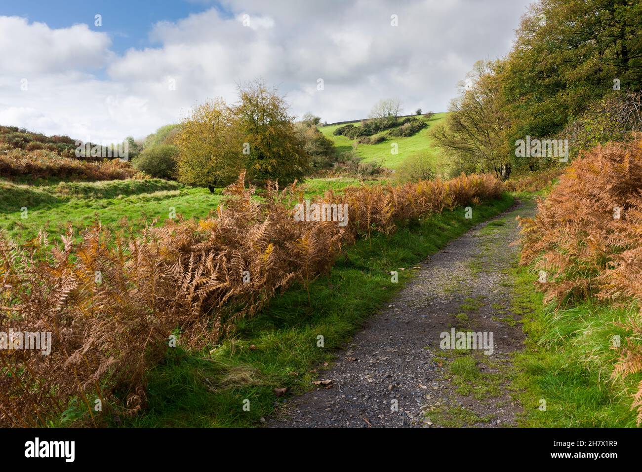 Footpath through the old mining landscape at Velvet Bottom at the ...