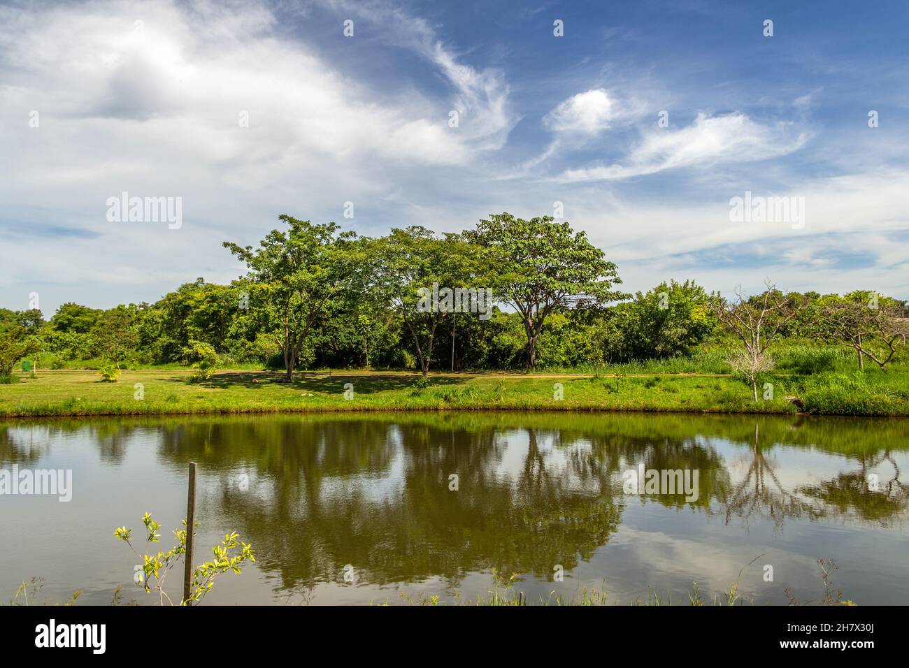 Nature landscape sky reflection summer scenic trees and rivers hi-res ...