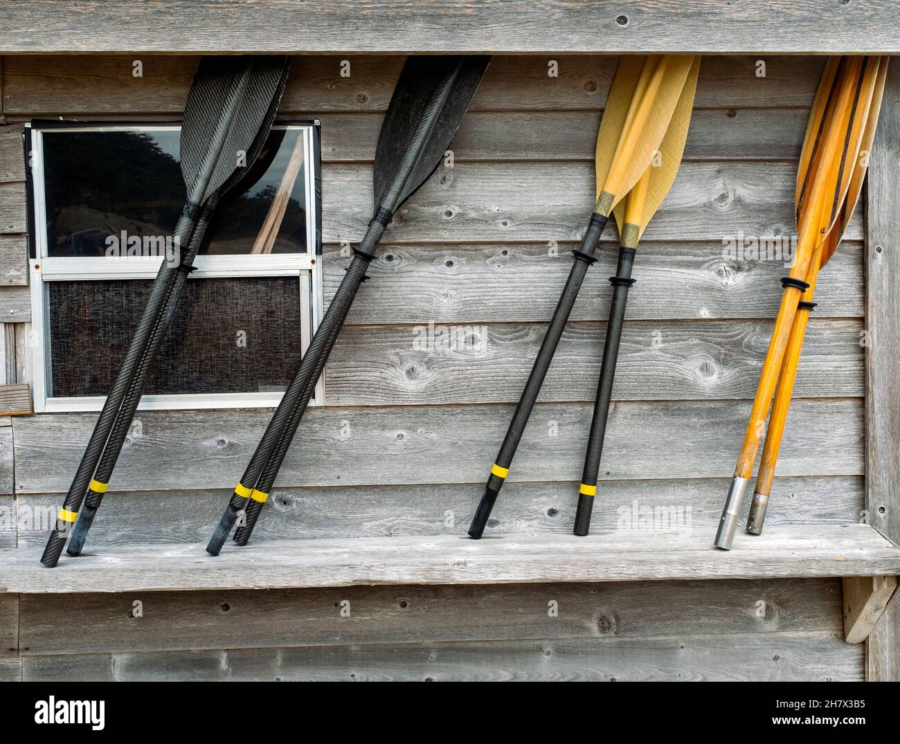 WA20418-00....WASHINGTON - Rental kayak shack with paddles at Spencer ...
