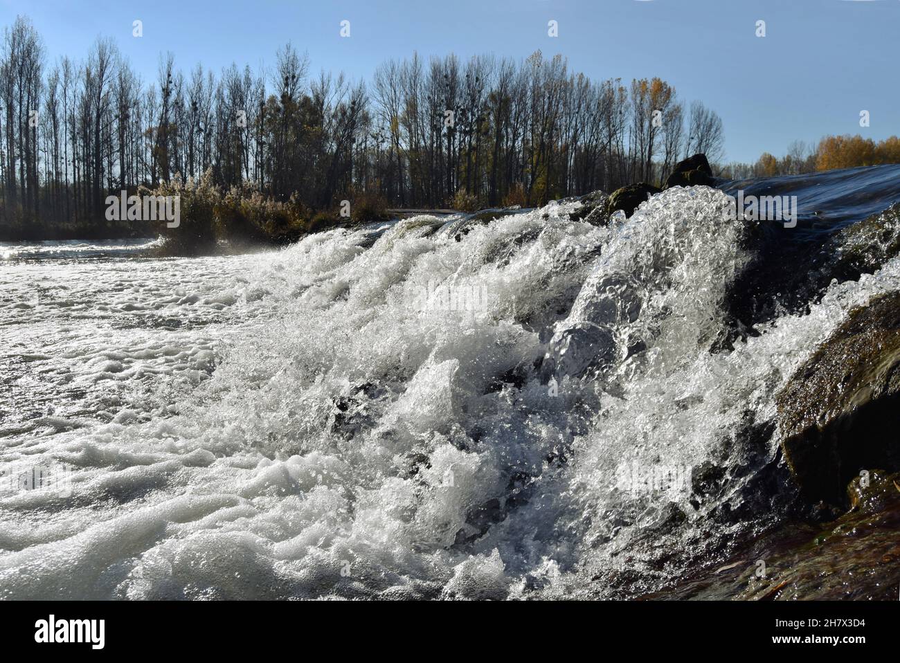 Flowing water on weir with rocks and trees near old Danube river in ...