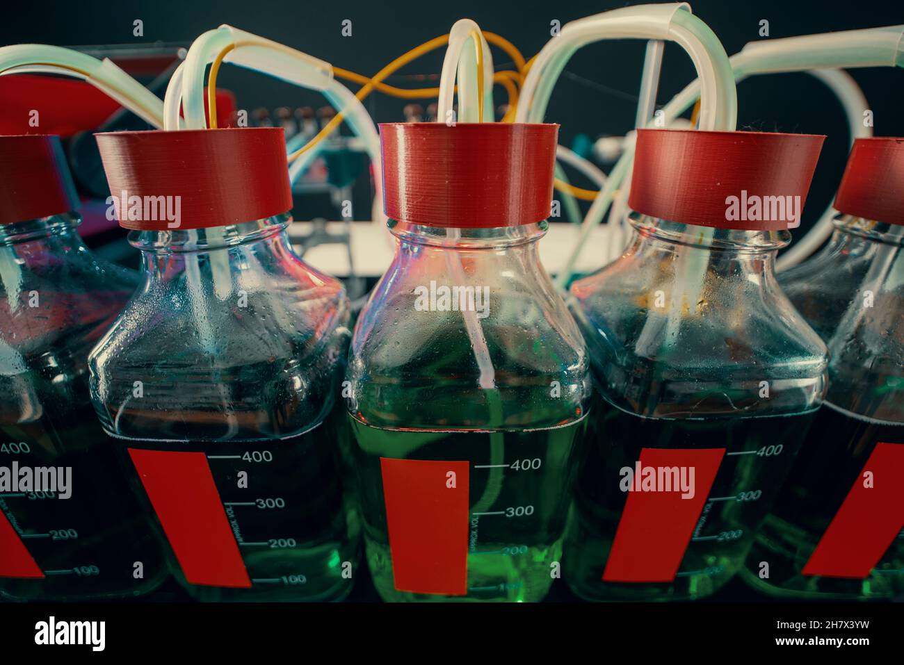 Experimental setup for enzymatic synthesis by genetically modified ...