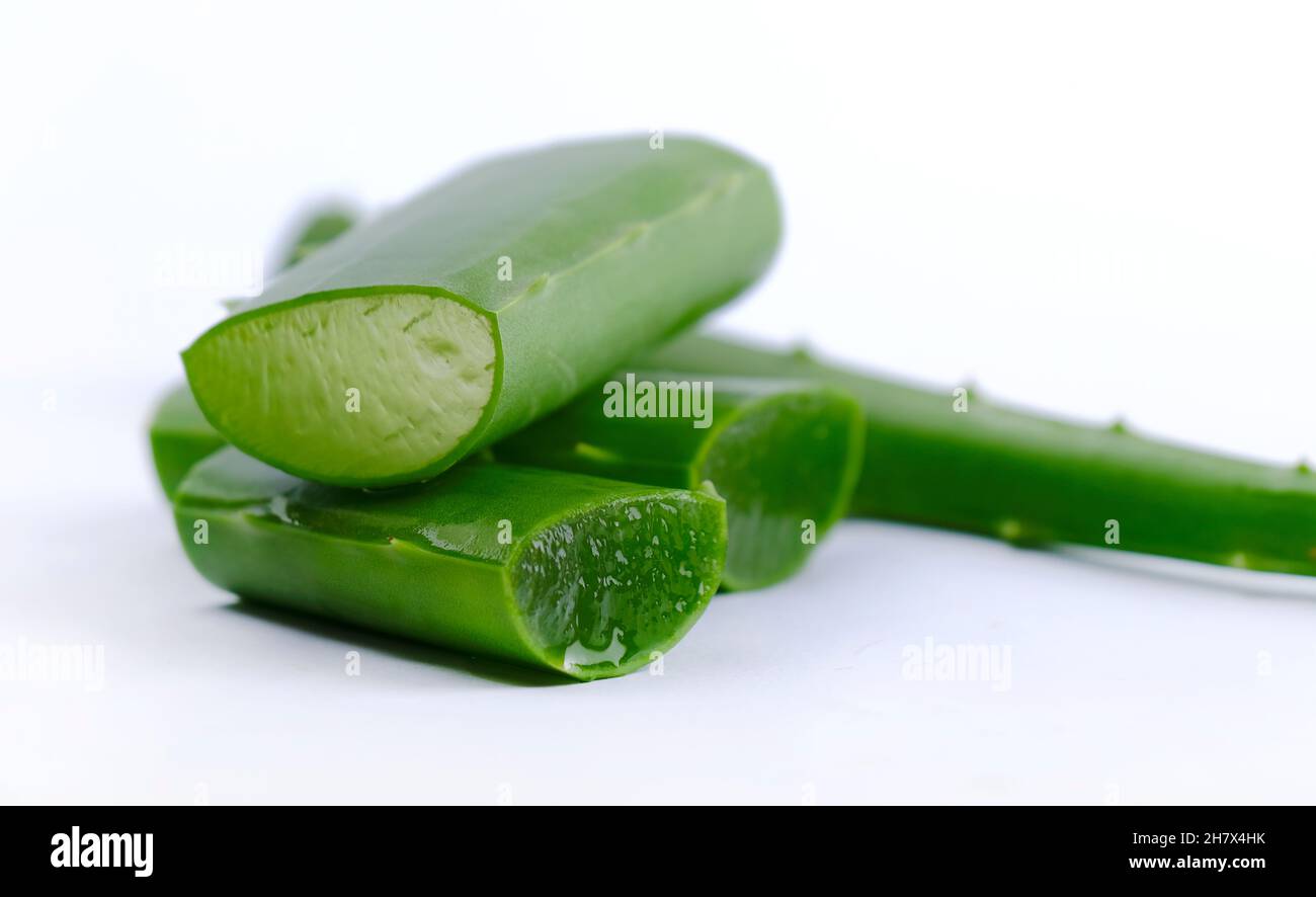 Aloe vera with gel hi-res stock photography and images - Alamy