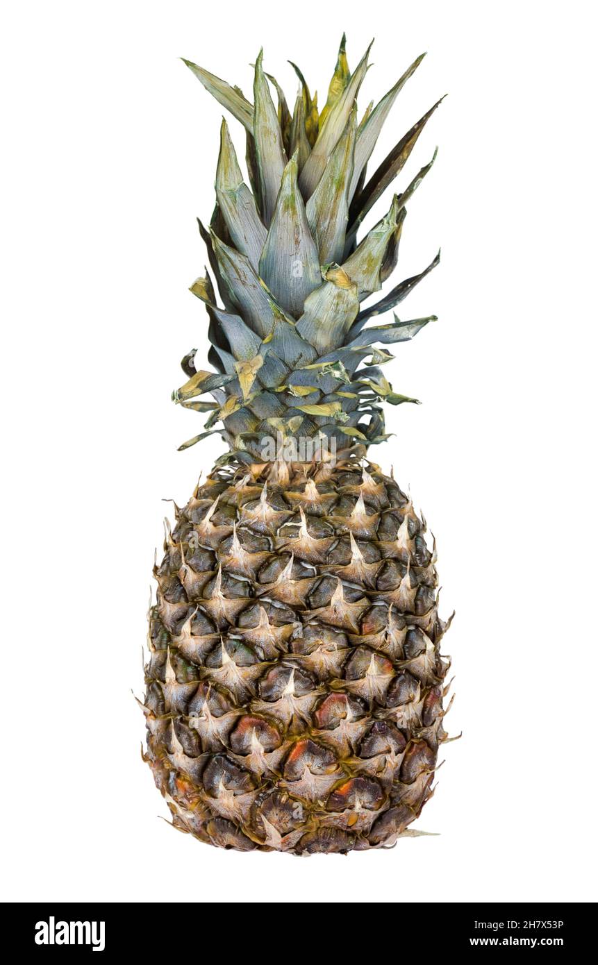 Old pineapple on a white background Stock Photo - Alamy