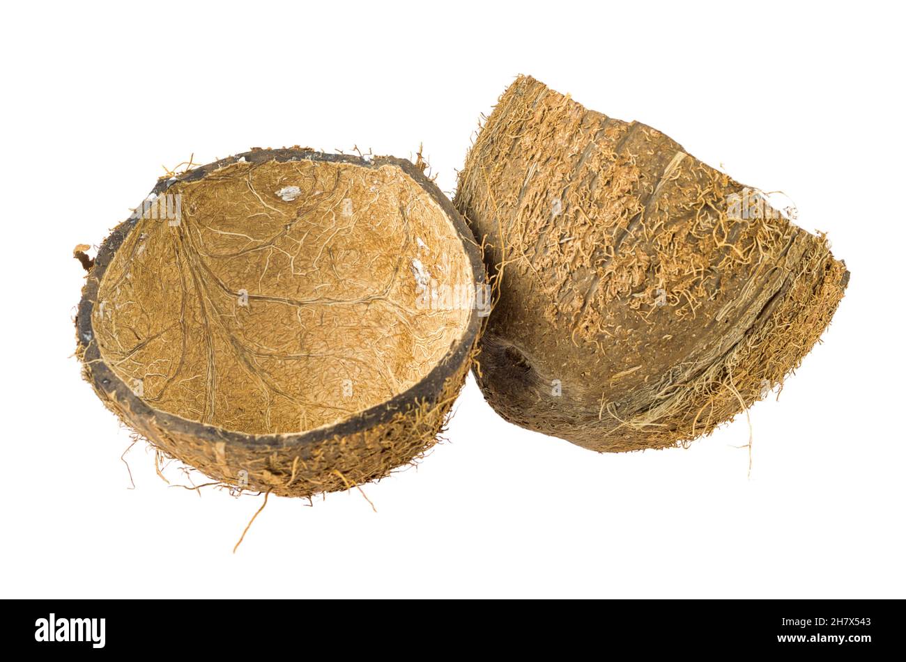 Empty green coconut shell hi-res stock photography and images - Alamy