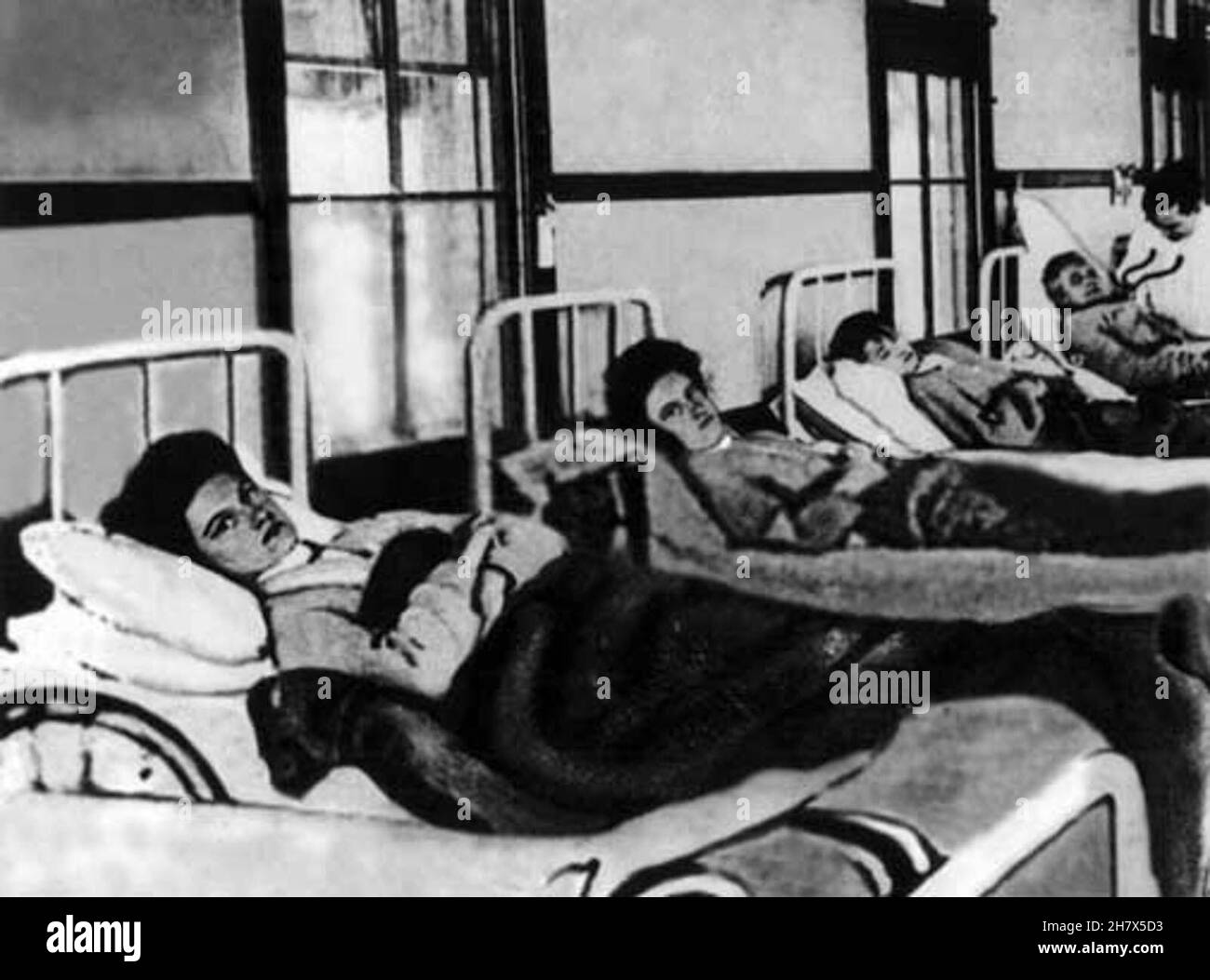 Mary Typhoid Fever