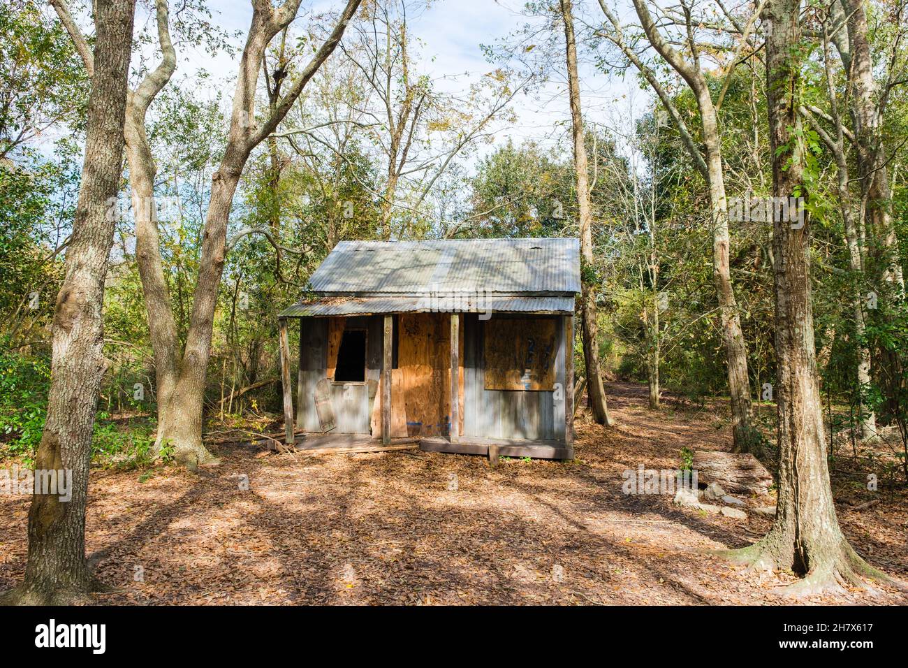 NEW ORLEANS, LA - DECEMBER 19, 2020: Wooden shack in the forest Stock ...