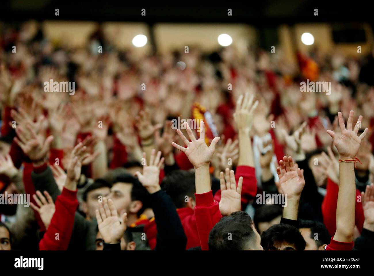 Nef stadium hi-res stock photography and images - Alamy