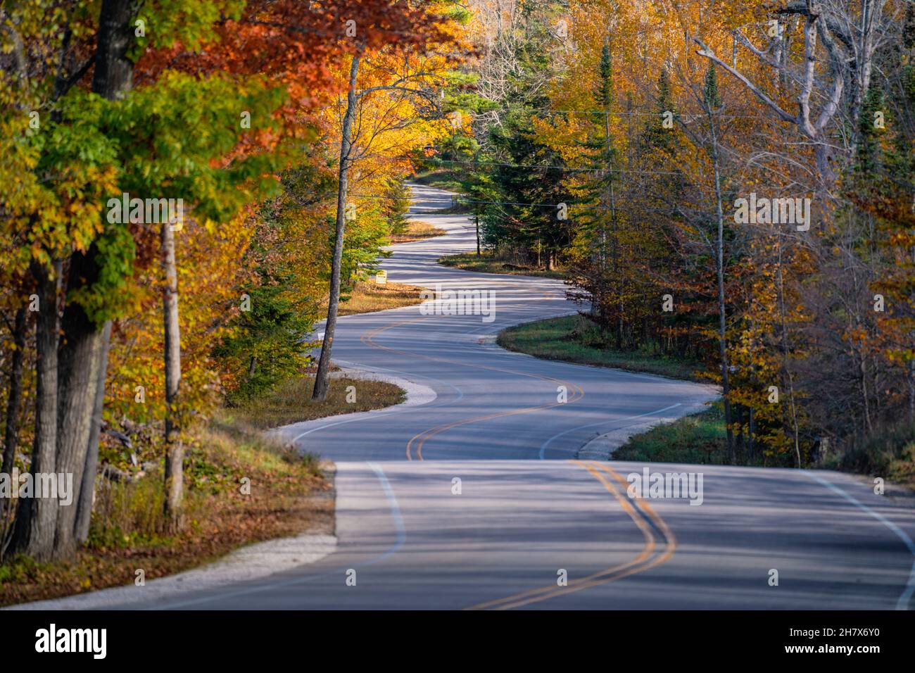 Door County Curvy Road in the fall autumn season in Wisconsin Stock ...