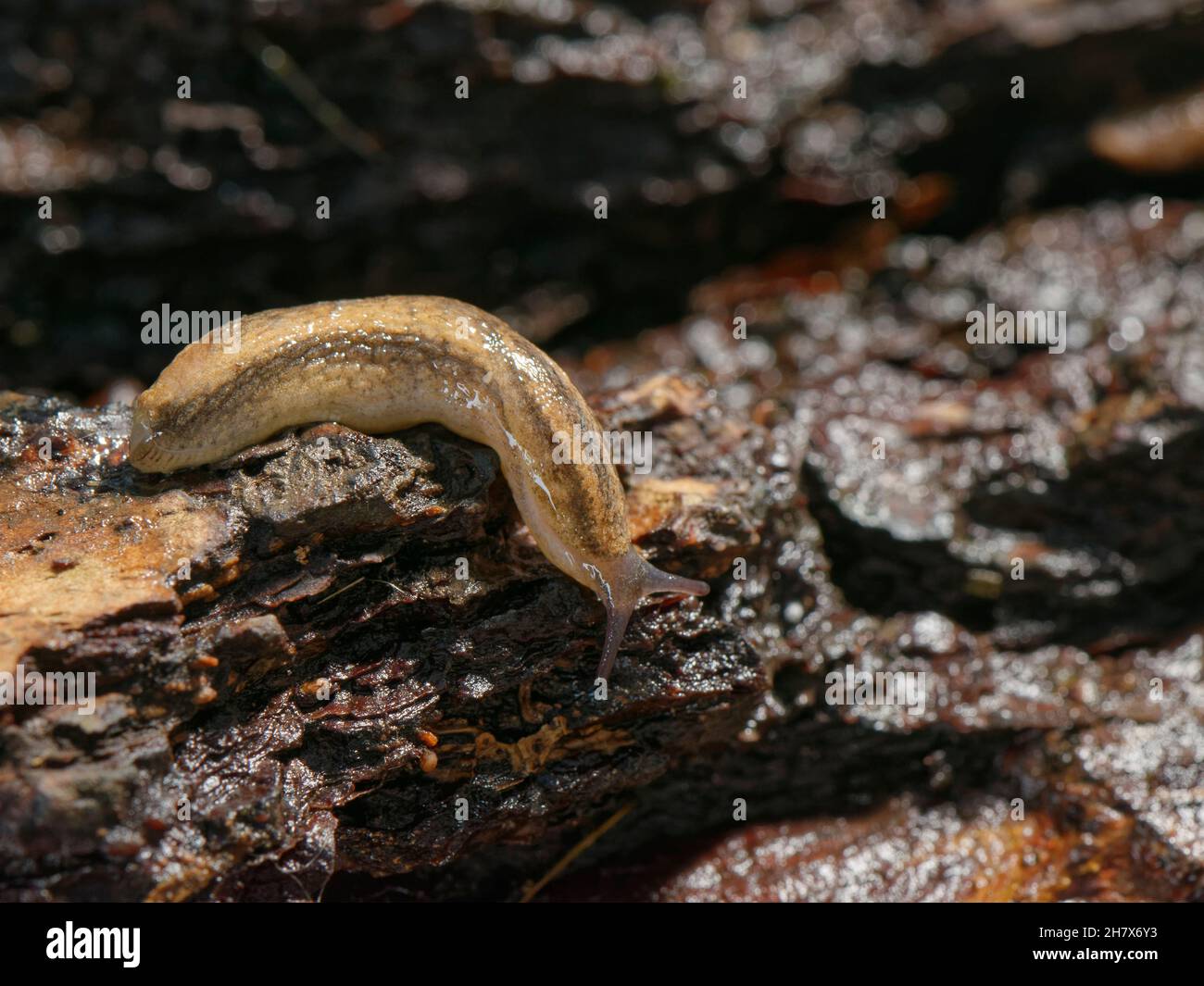 Sliding of soil hi-res stock photography and images - Alamy