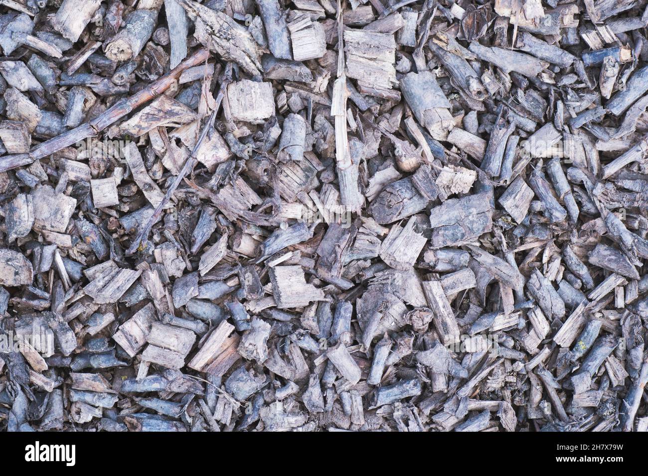Wood chips texture, nature material Stock Photo - Alamy