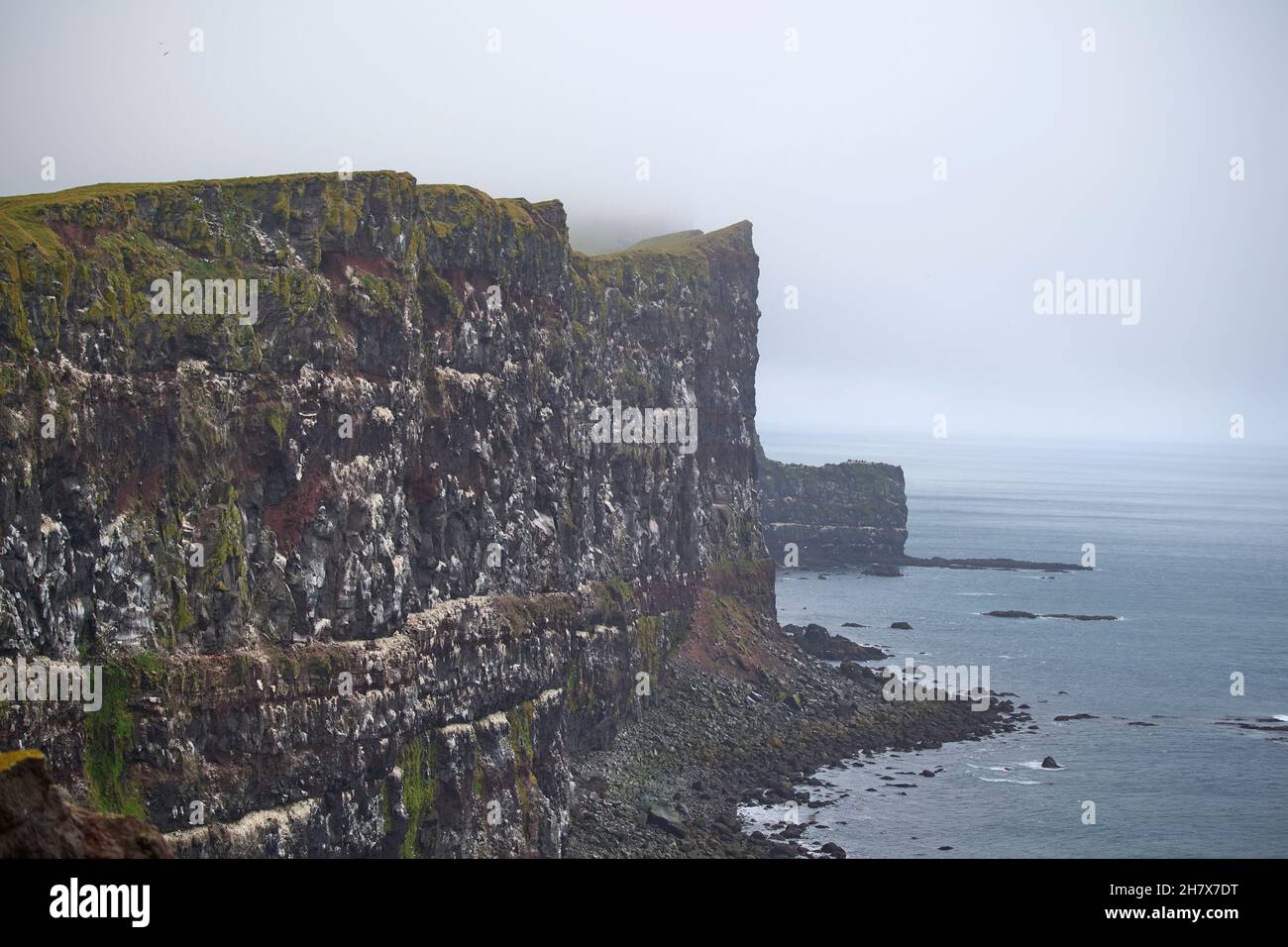 Large bird cliffs, Látrabjarg, Vestfirðir, Westfjords, Iceland Stock ...