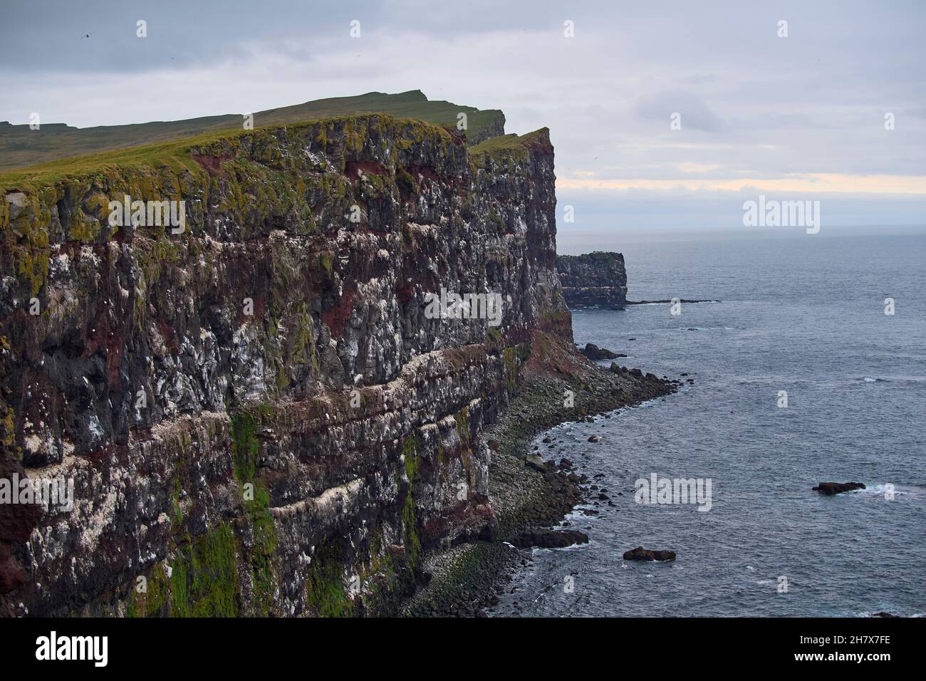 Large bird cliffs, Látrabjarg, Vestfirðir, Westfjords, Iceland Stock ...