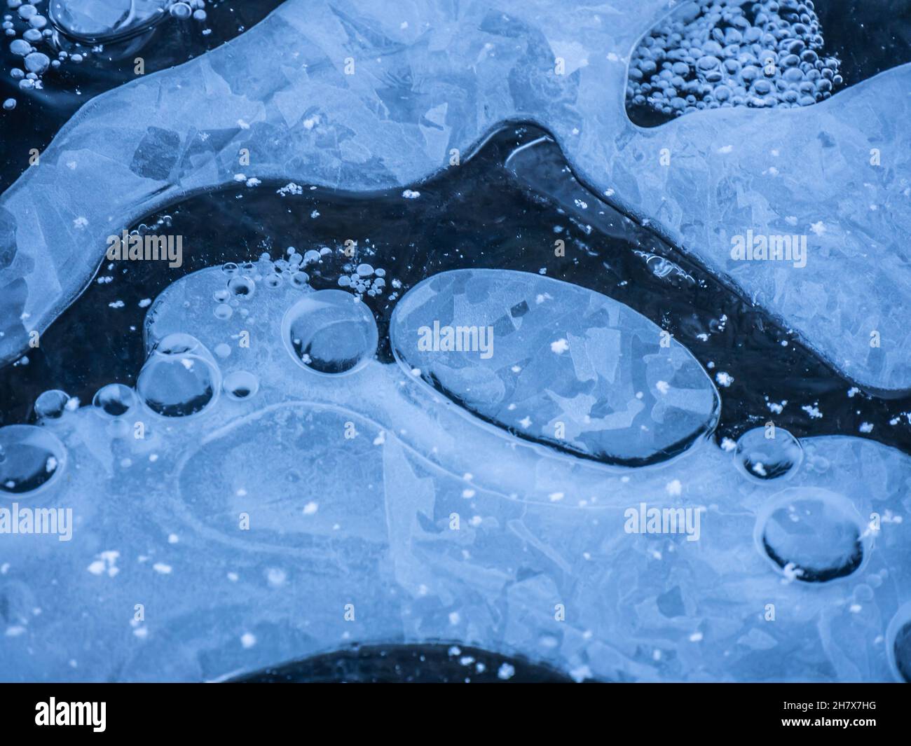 Close-up of ice on a cold November morning starting to form on the ...