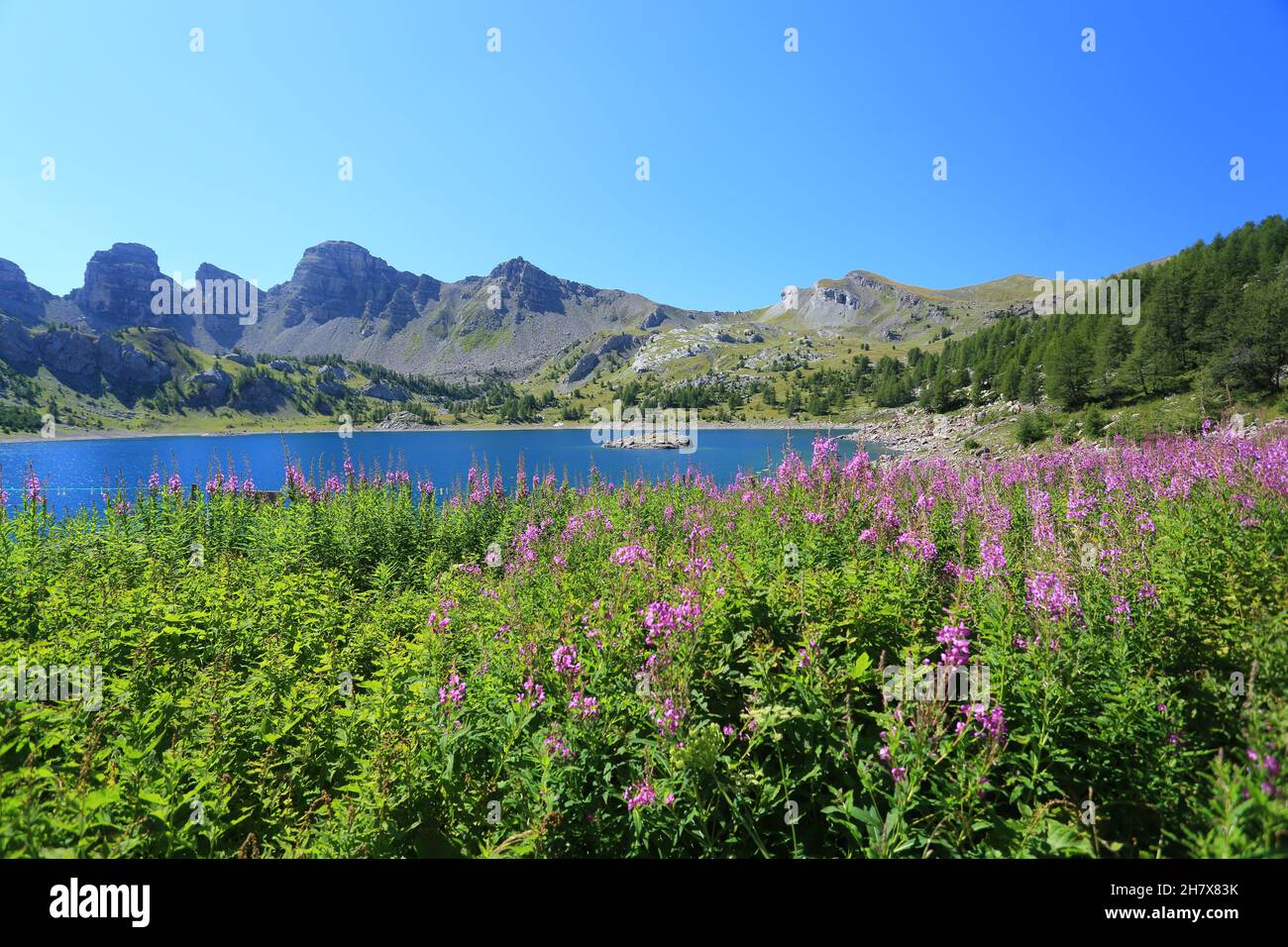 Lac d'Allos, Alpes de Haute Provence, 04, region sud Stock Photo - Alamy
